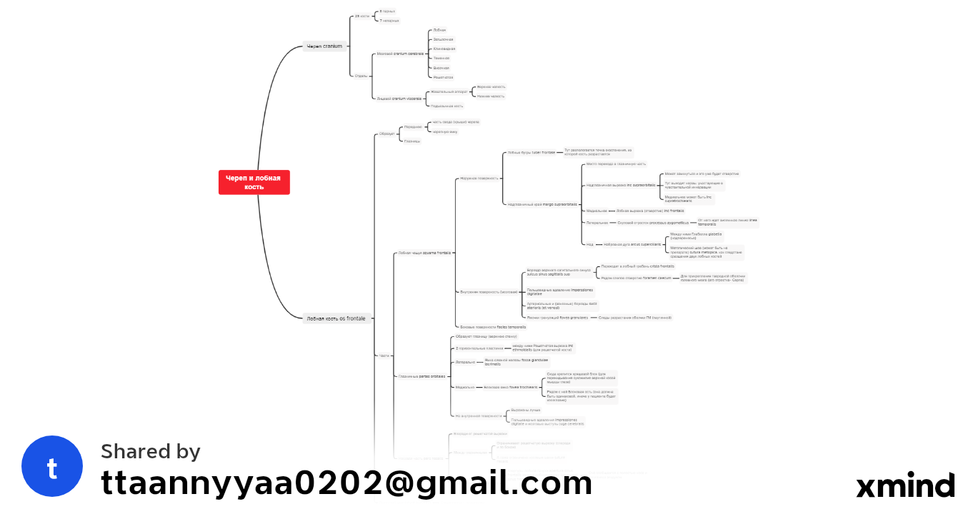 Xmind AI: The Best AI Brainstorming & Mind Mapping Tool
